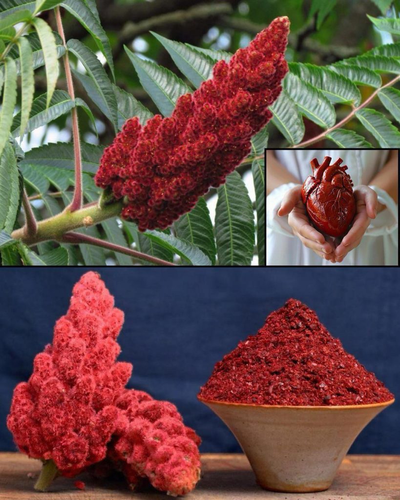 The Amazing Benefits of Sumac and How to Use It - Daily Wellness ...